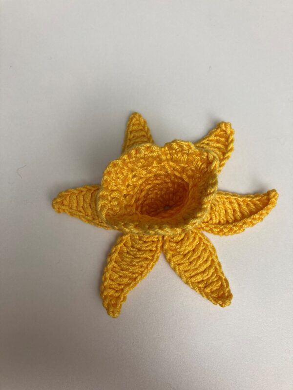 Daffodil – Jenny King Designs