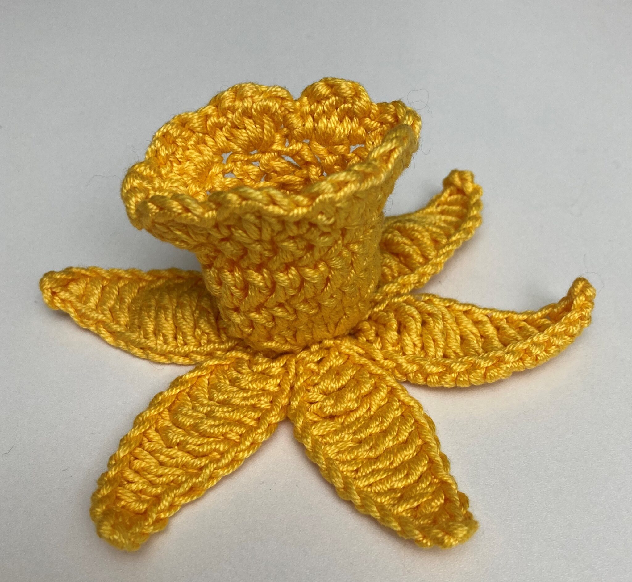 Daffodil – Jenny King Designs